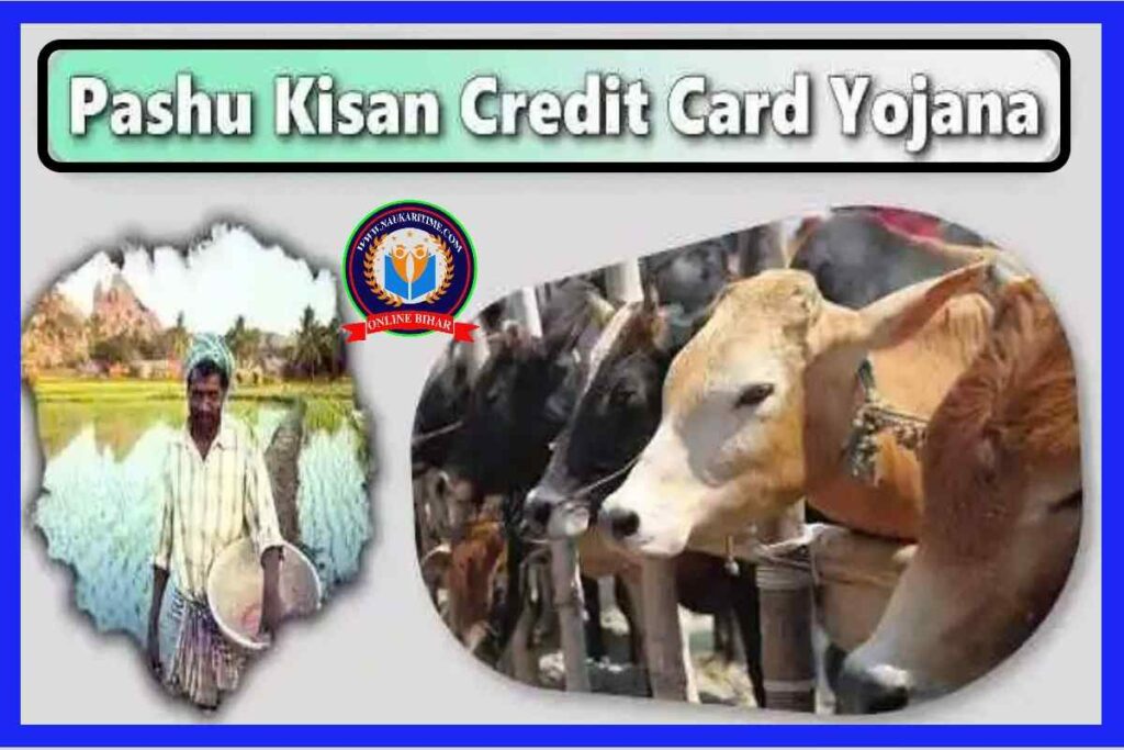 Pashu Kisan Credit Card 2023: क्या आप भी लेना चाहते हैं पशु किसान ...